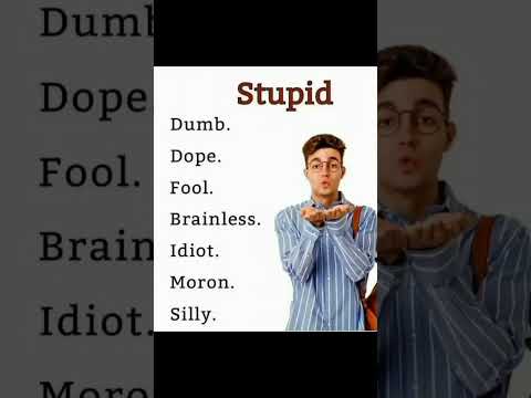 Words to Use Instead of 'Stupid': A Vocabulary Lesson |Better Word Choices: Alternatives to 'Stupid'