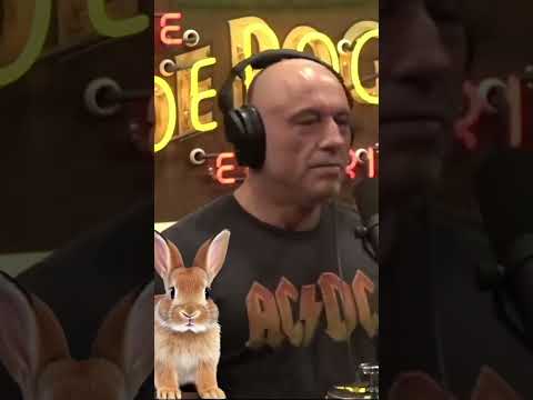 Pythons Taking Over Americaπ€―π #joerogan #podcast #python