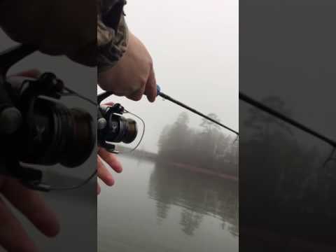Fishing Chickamauga Lake
