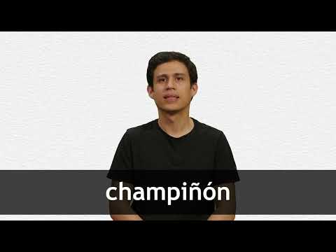 English Translation of “CHAMPIÑÓN” | Collins Spanish-English Dictionary