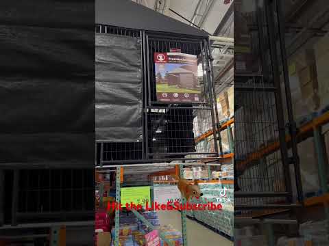 #costco #kennel #pets #dogs #shortsvideo #costcofinds #whatsgood #deals #costcogroceryhaul #foryou