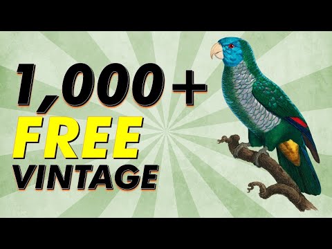 FREE and LEGAL Vintage Illustrations for Commercial Use - High-Resolution PNG and Vectors