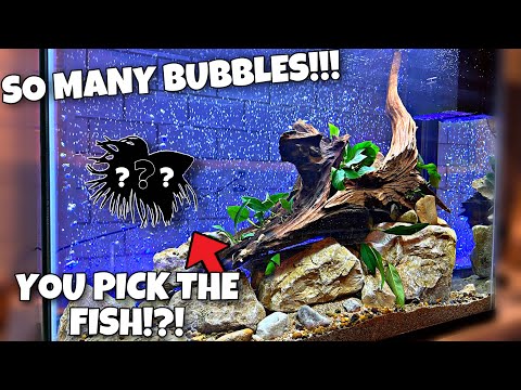 Top Fin LED Bubble Wall Aquarium Kit Aquascape