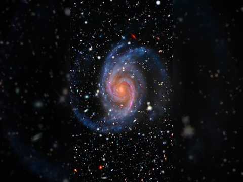 NGC 1566 Spanish Dancer spiral galaxy.#space #universe #cosmos #spatium #facts