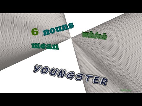 youngster - 8 nouns which are synonym of youngster (sentence examples)