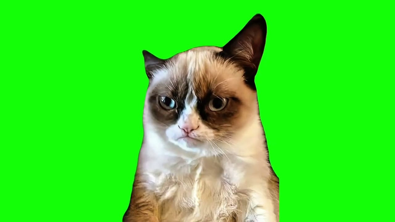 Og grumpy cat sigh Green Screen Meme