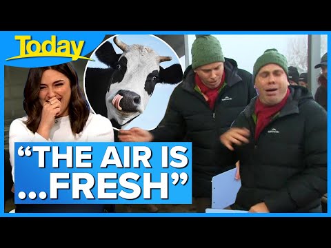 Australian Weatherman Visits Smelly Farm, and Can't Stop Gagging ...