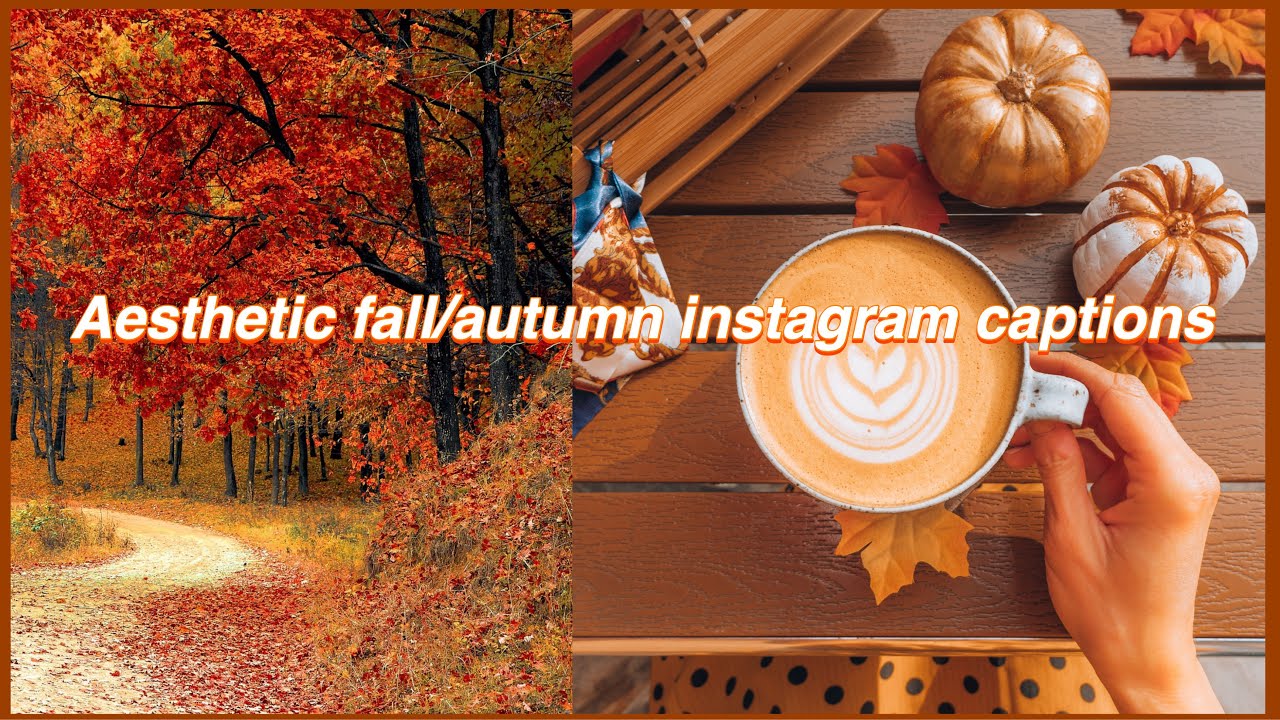 Aesthetic autumn and fall instagram caption ideas