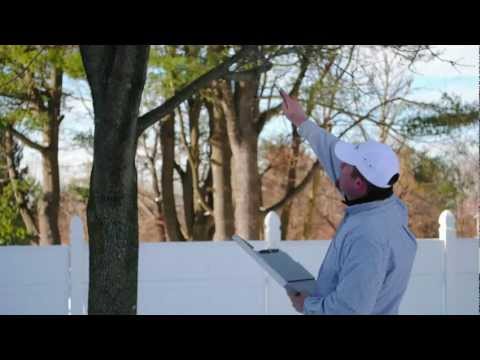 Tree Service Holden | 508-829-2726 | Elliott Tree