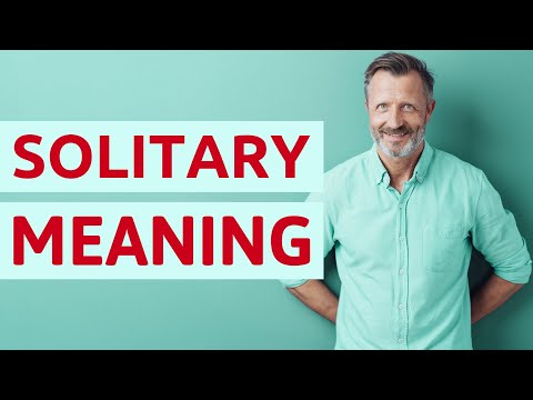 Solitary | Meaning of solitary