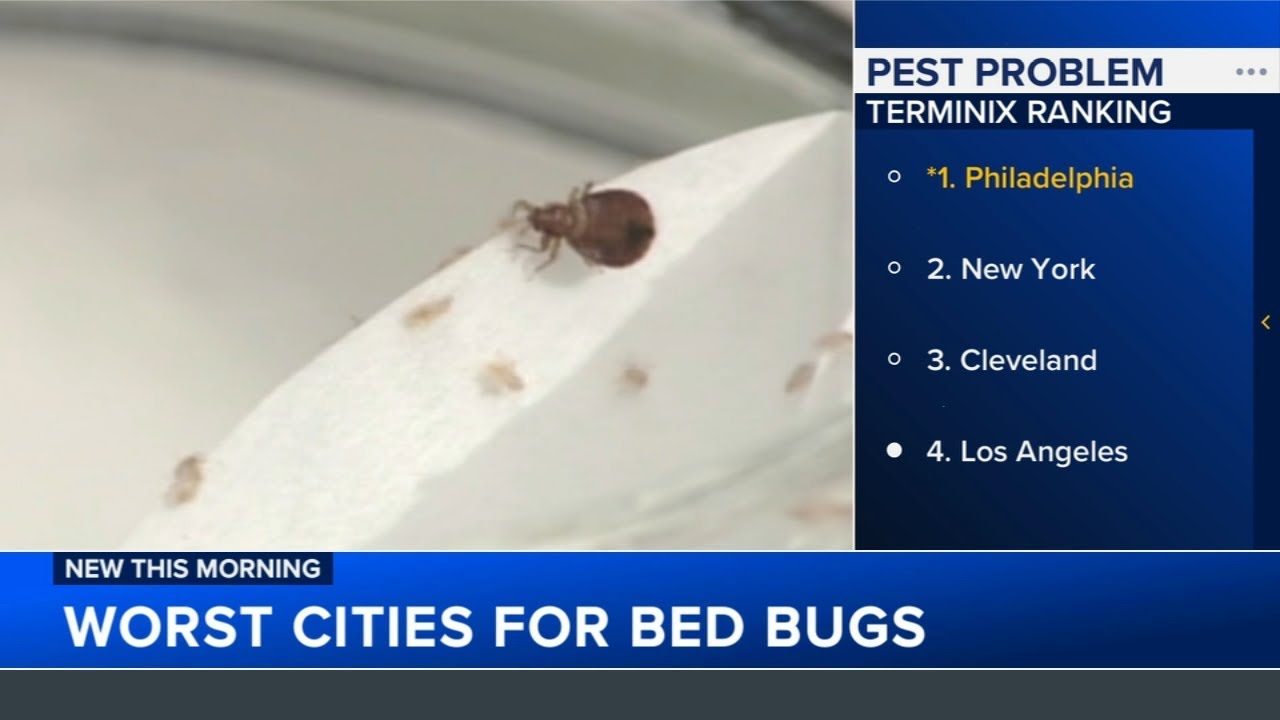 Philadelphia takes top spot for worst cities for bed bugs, according to Terminix ranking