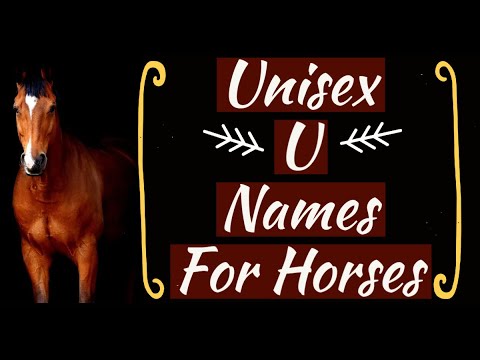10 Exclusive Unisex Horse Names That All Begin With U