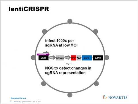 CRISPR CAS9 Screening in Human Pluripotent Stem Cells WEBINAR