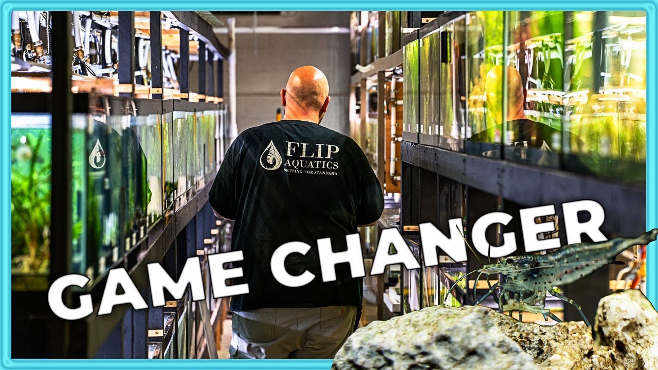Expanding means NEW Aquarium Systems and Racks