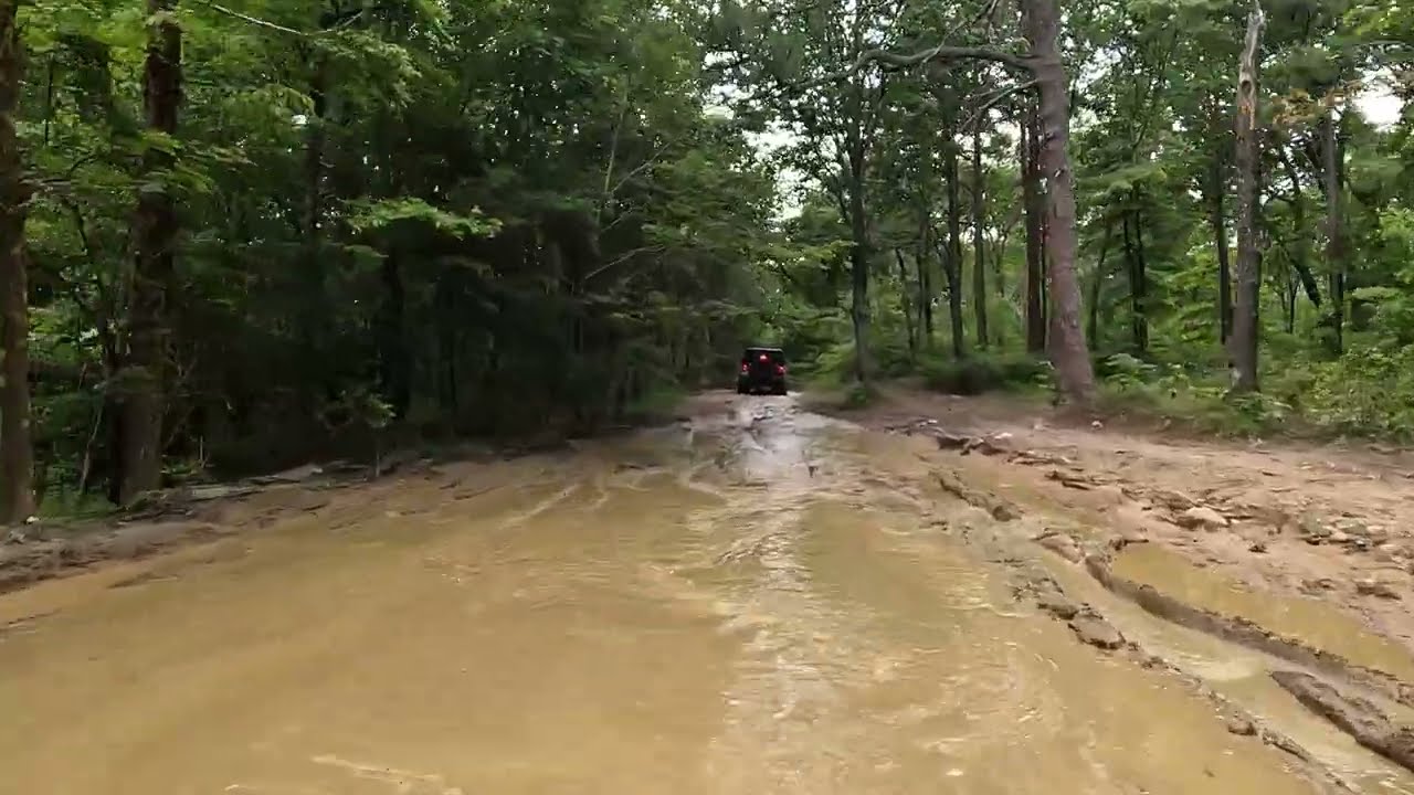 600-1 Talladega National Forest