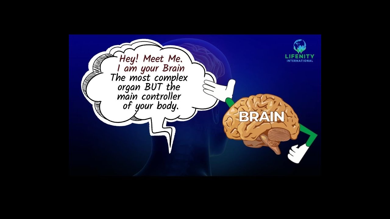 Hey! I am your Brain