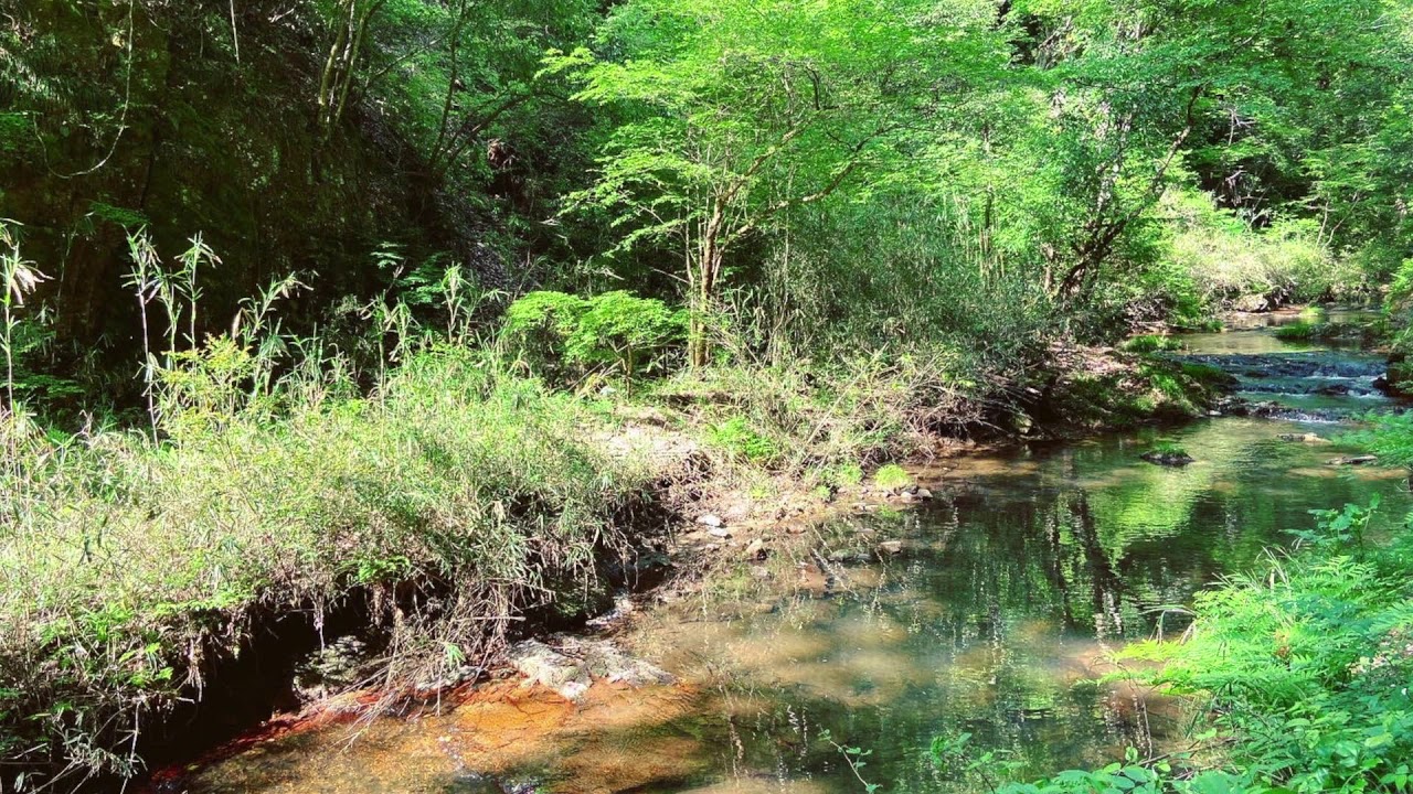 Gallery Six - Ambient Mix Series vol.2