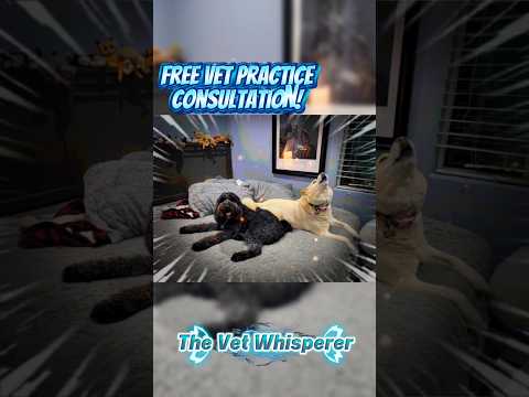 Veterinarians! Free Vet Practice Consultation from the @vetwhisperer