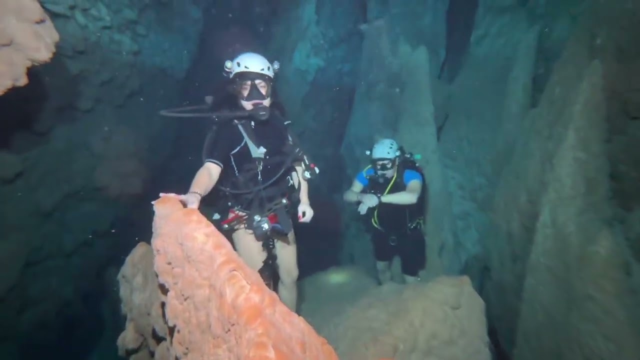 Immersioni a Grotta Giusta e…
