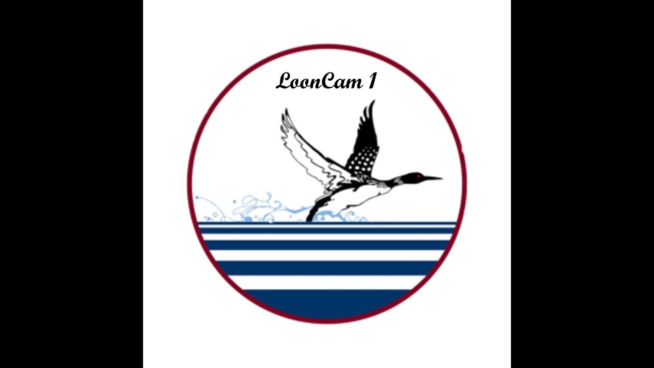 LPC LoonCam 1 - Live - 2026