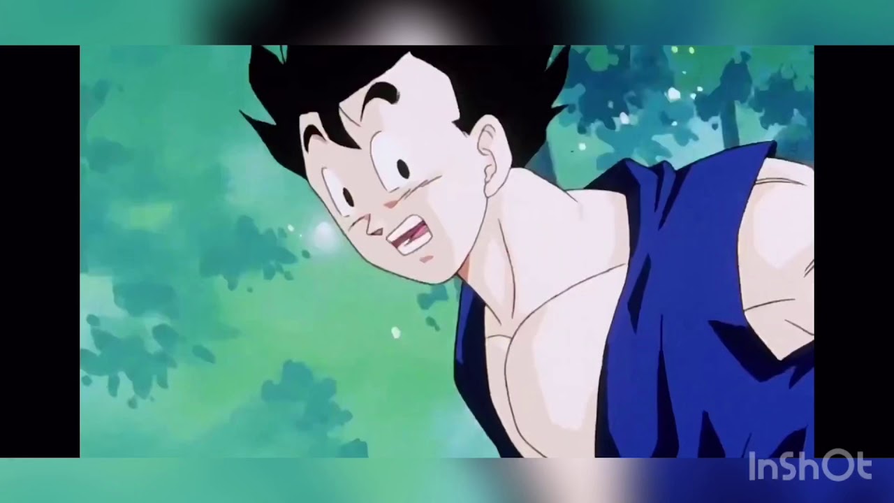 Goten Gohan training Chi Chi Videl fighting