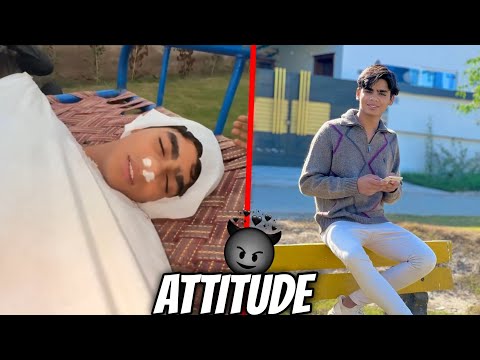 SUBHAN ATTITUDE EDIT SW PET HOUSE