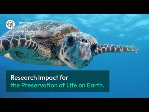 The next wave of global research? – It’s already here.