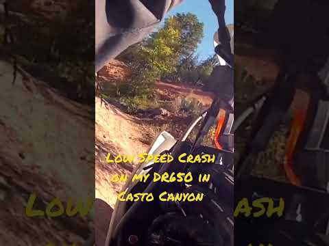 Low Speed Bush Pig (DR650) Drop