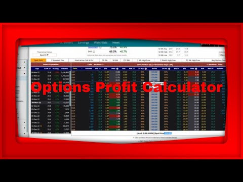 Using the Options Profit Calculator to look at SPY