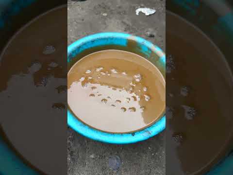 How do you dispose of your used oil? #recycling #africa