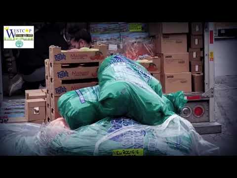 Westcop New Rochelle, Willdan and Soulful Synergy Food Distribution Collaboration
