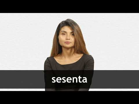 English Translation of “SESENTA” | Collins Spanish-English Dictionary