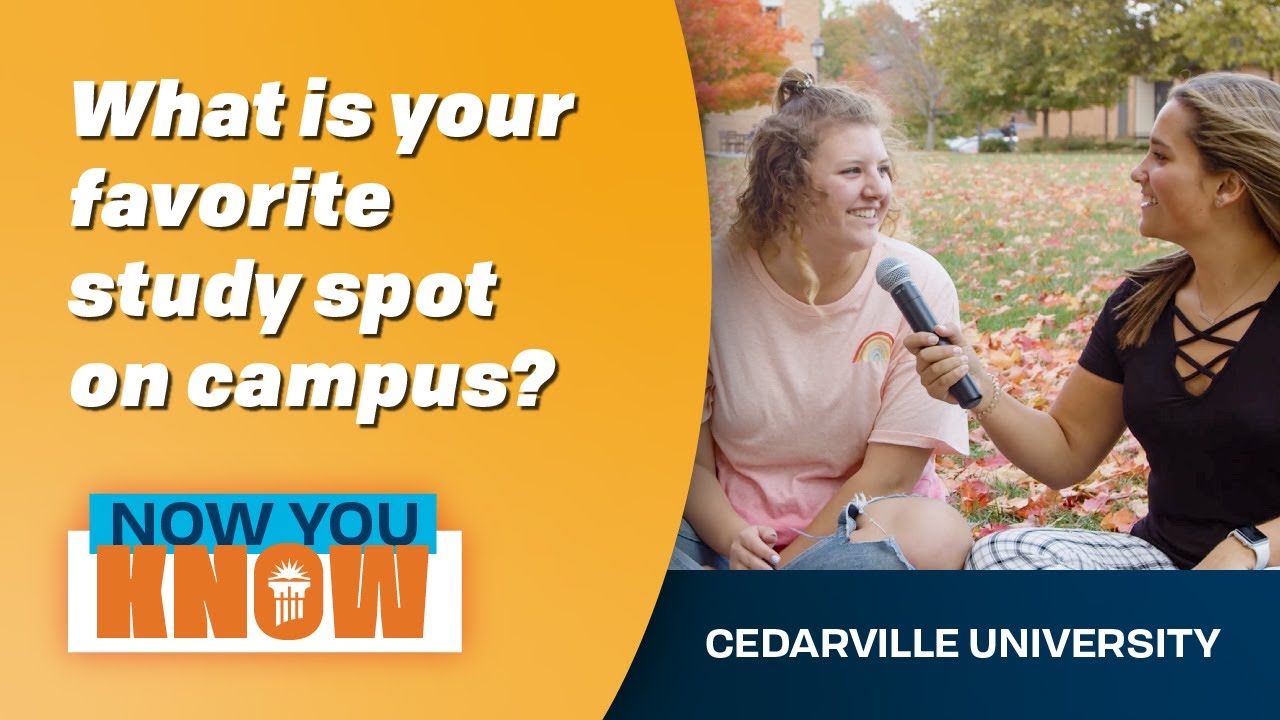 What is your favorite study spot on campus?