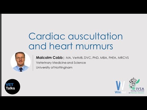 VET Talks- Cardiac Auscultation and Heart Murmurs