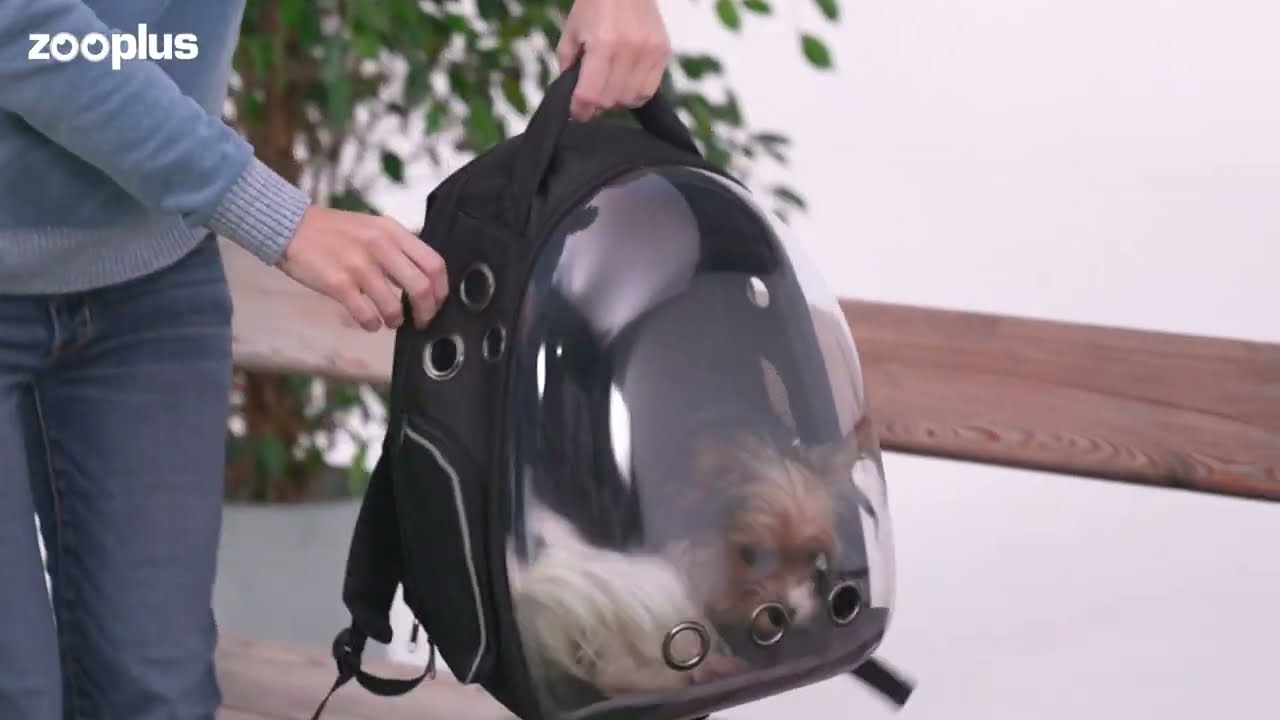 Mochila View para mascotas