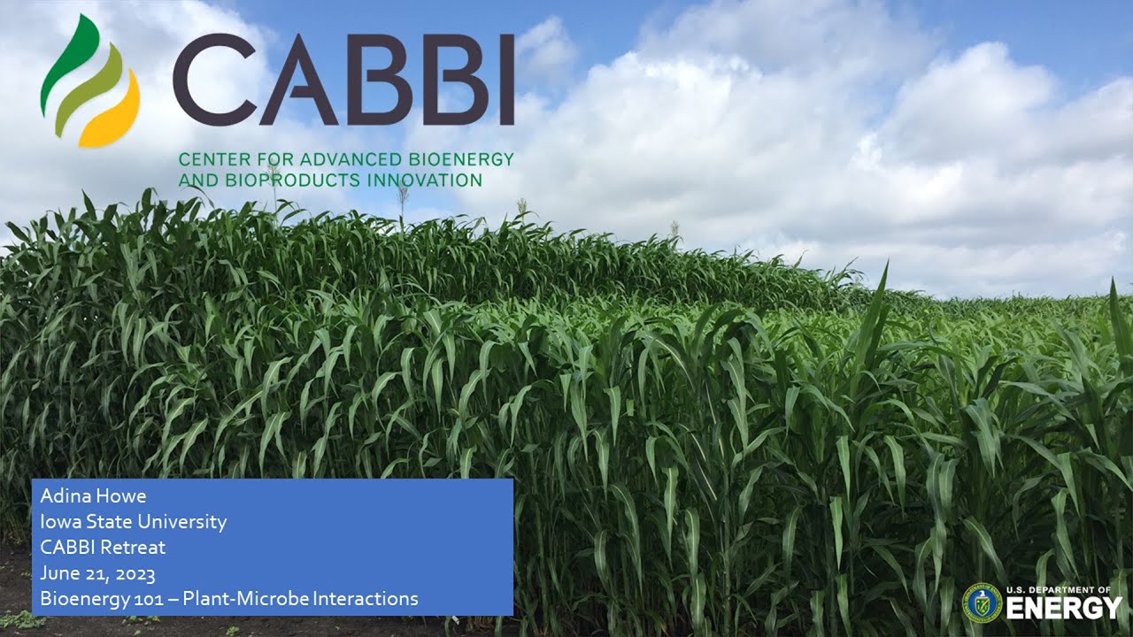 Bioenergy 101:  Plant-Microbe Interactions