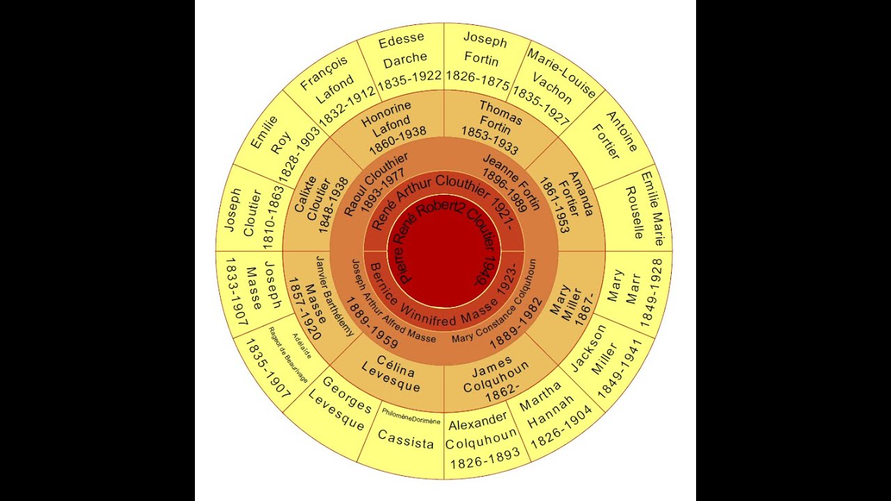 The Fan Chart - ProgenyGenealogy.com