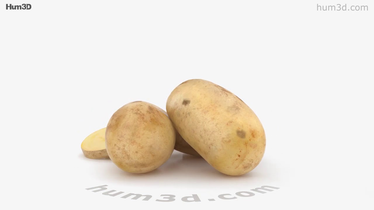 Potato 3D model by 3DModels.org