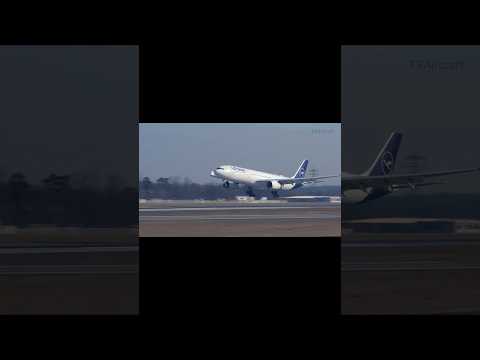 Lufthansa Airbus A330-343X D-AIKQ Landing RWY25R at FRA #frankfurtairport #aviation #planespotting