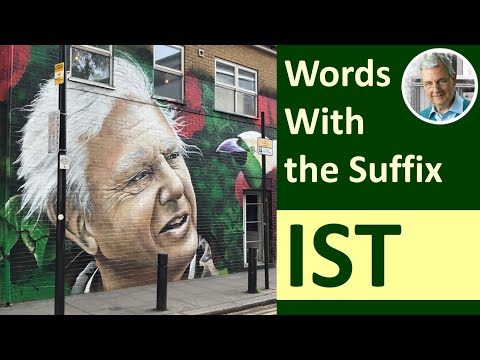 Words With the Suffix IST (7 Illustrated Examples)