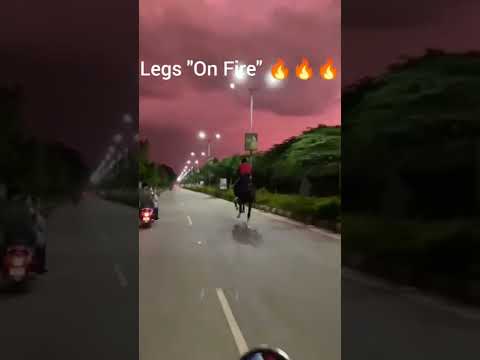 Horse Running in full speed |Leg's on Fire | #horselover #horseriding #hassan