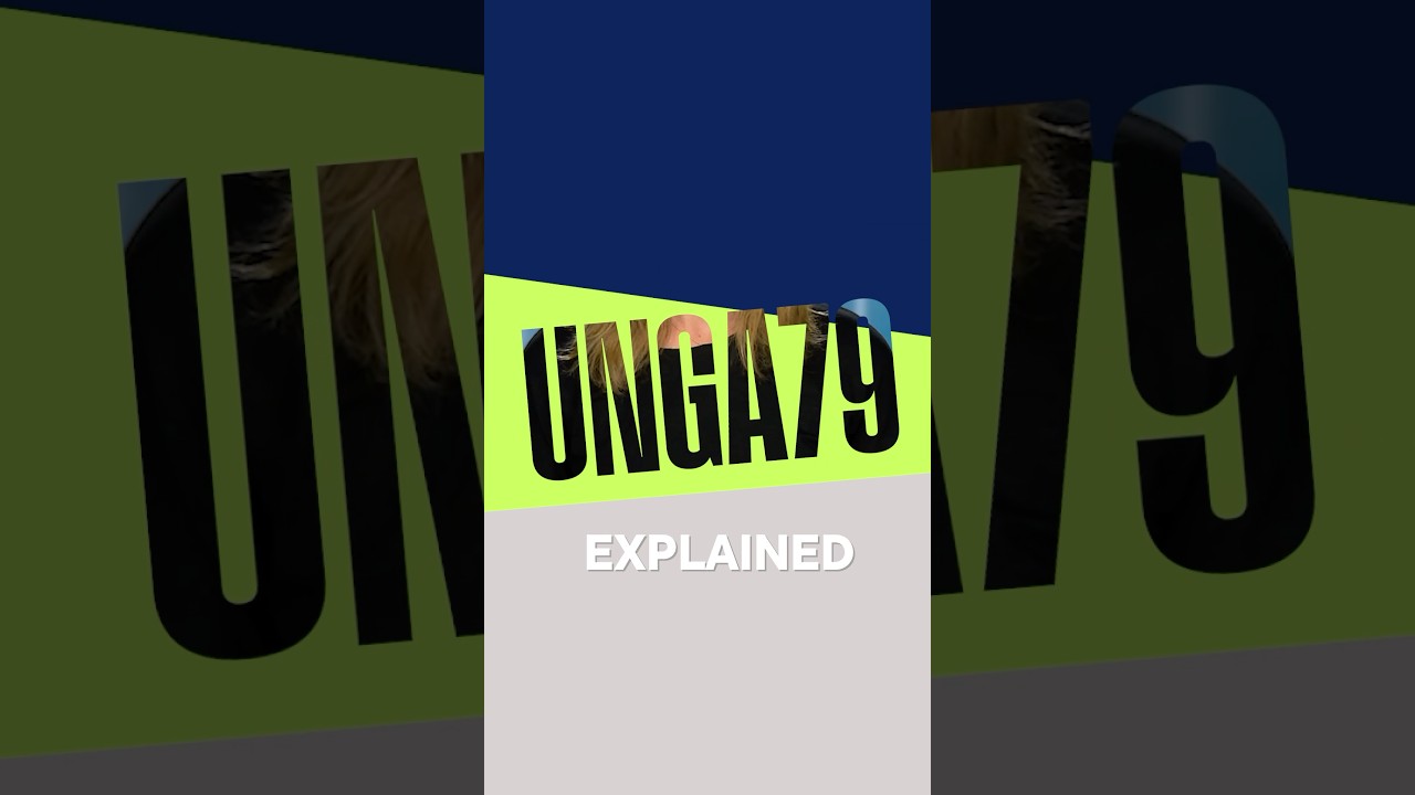 UN General Assembly Explainer Series - #UNGA Explained | United Nations