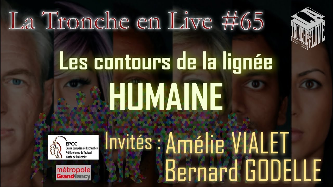 Les contours de la lignée humaine TenL65 à Tautavel