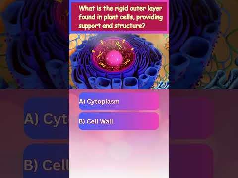 Quiz Cellular Biology - What is the rigid outer layer found in plant cells?