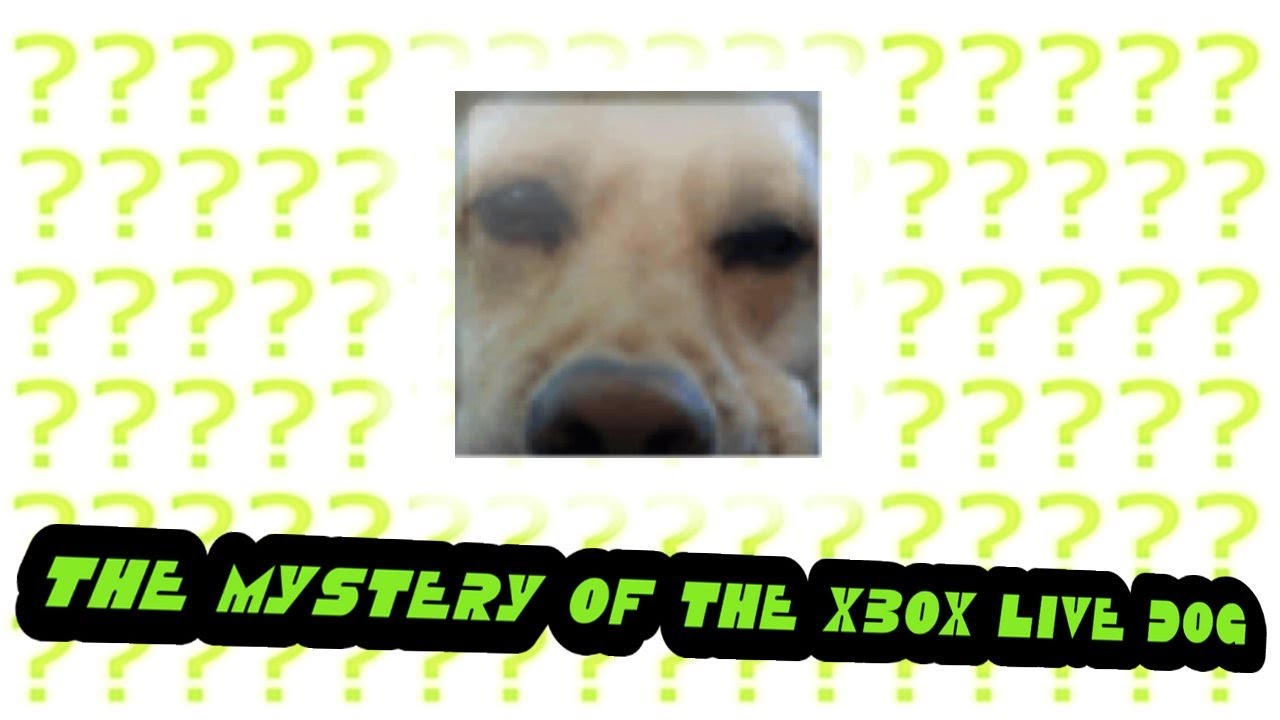 The Mystery Of The Xbox Live Dog #shorts