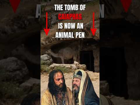 𝗧𝗵𝗲 𝗧𝗼𝗺𝗯 𝗼𝗳 𝗖𝗮𝗶𝗮𝗽𝗵𝗮𝘀 𝗶𝘀 𝗡𝗼𝘄 𝗮𝗻 𝗔𝗻𝗶𝗺𝗮𝗹 𝗣𝗲𝗻 #history #jerusalem #bible #travel #tour
