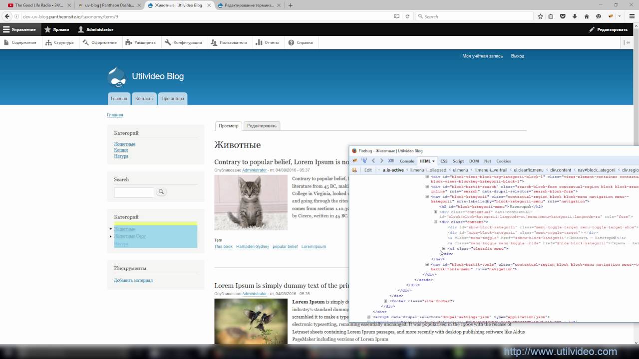 Taxonomy Menu vs View - Drupal 8