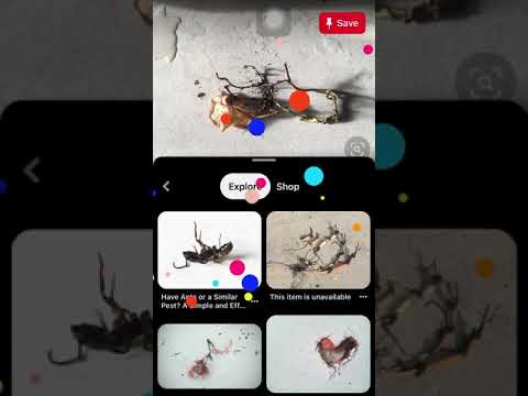 Pinterest reverse image search 2