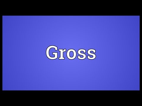 Gross Meaning
