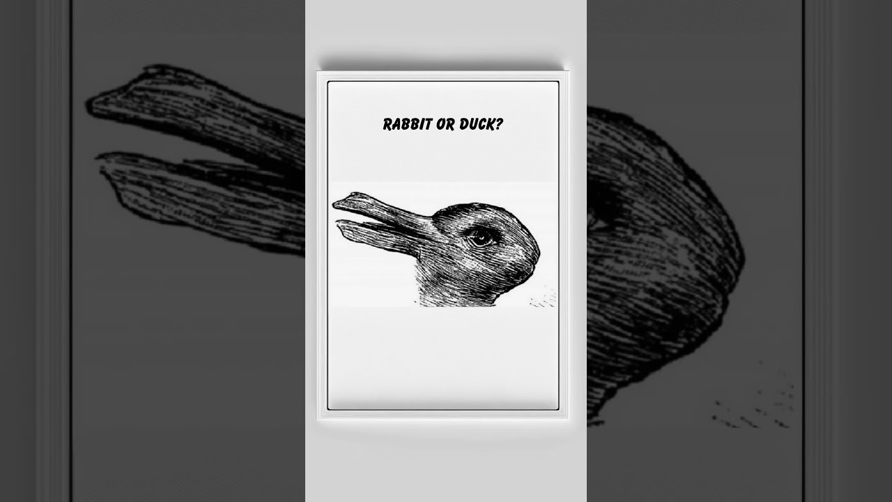 Rabbit or Duck? Optical illusion shorts